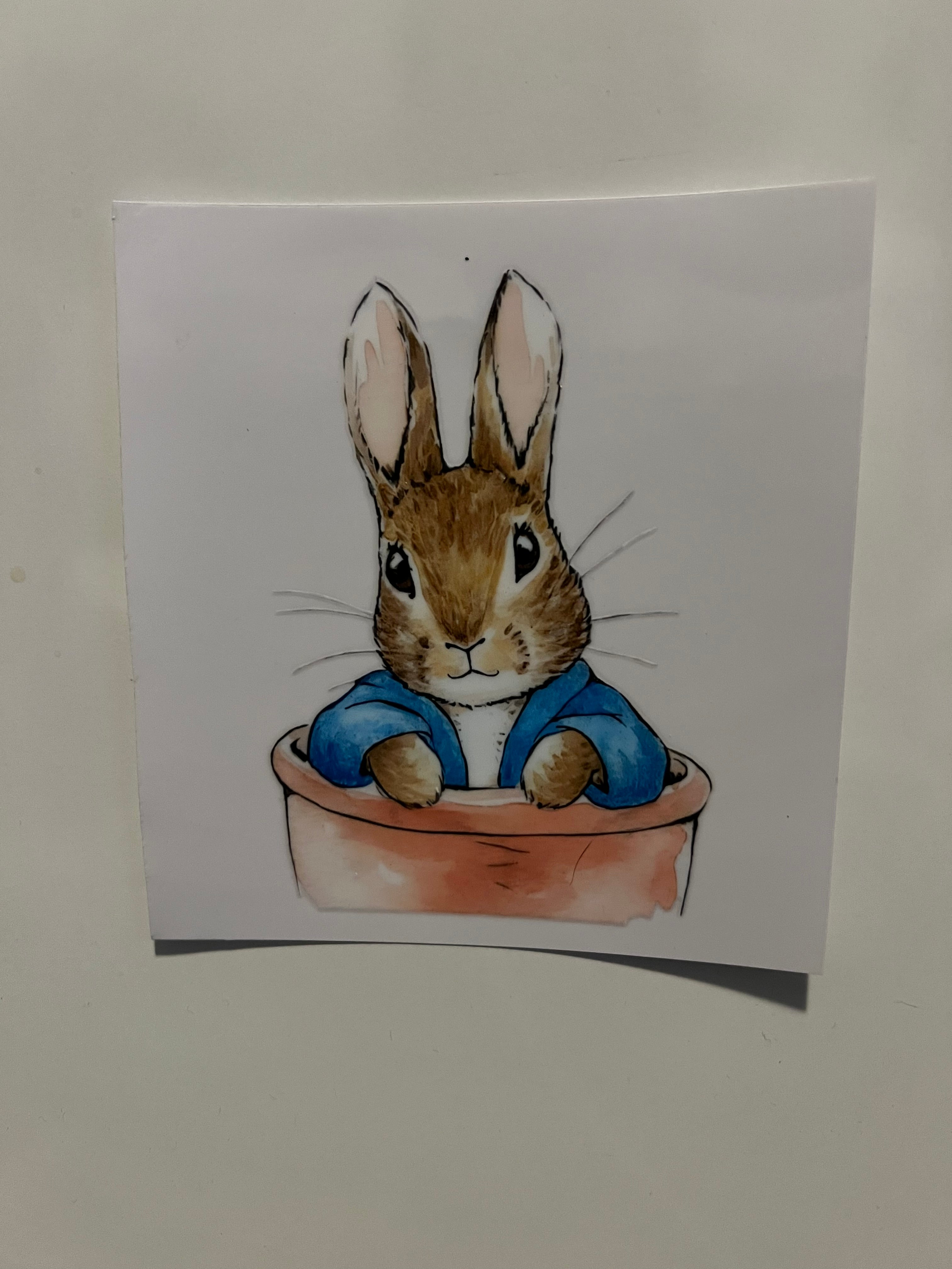 Peter rabbit decal – House of Wraps