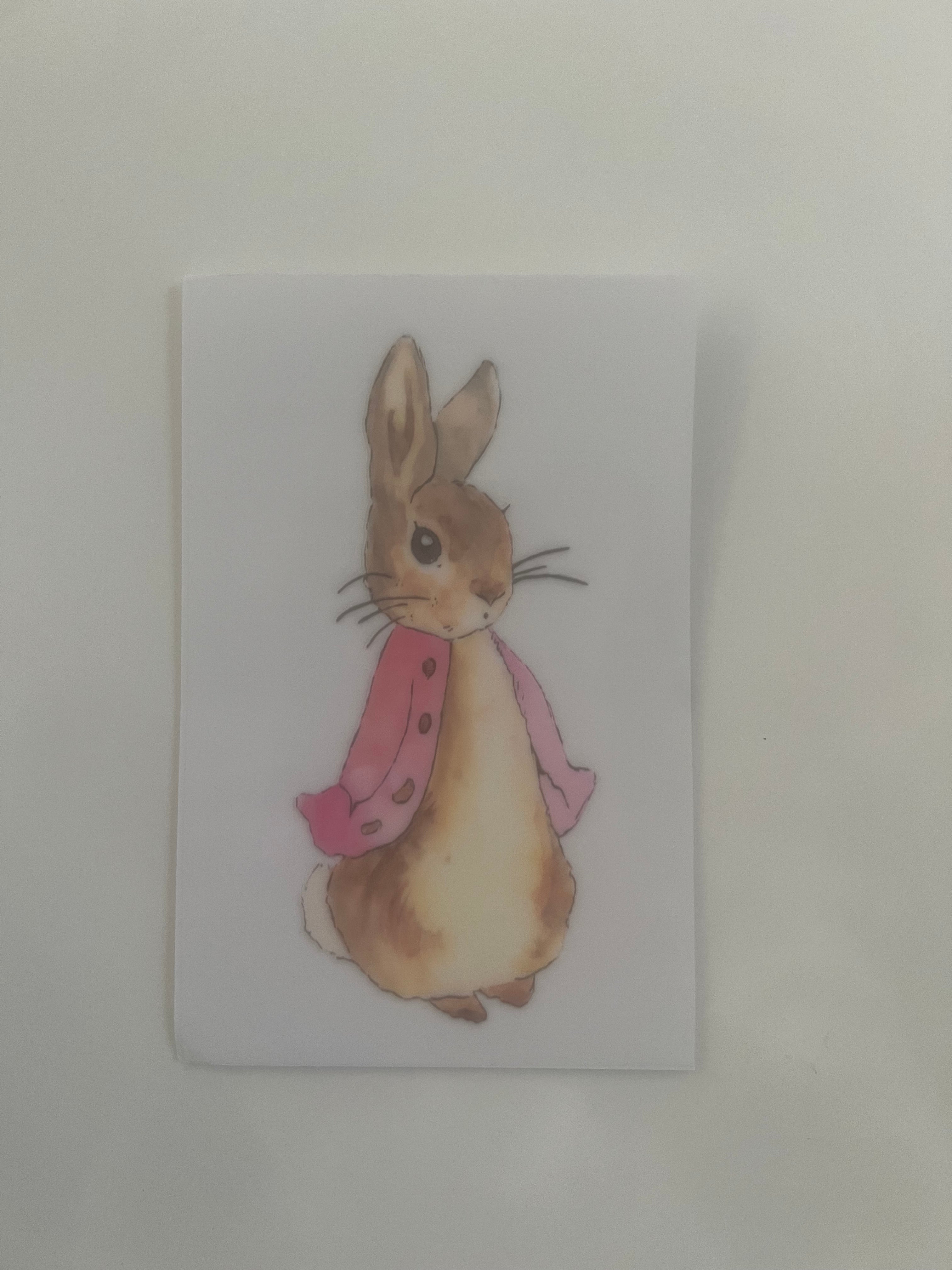 Pink peter rabbit decal – House of Wraps